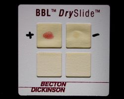 Nitrocefin DrySlide™